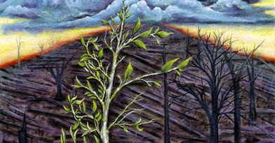 Living the Lectionary: Lectionary 16 B - Jeremiah 23:1-6